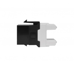 Compra Belden Jack Modular RJ-45 Cat6+ Negro | Cyberpuerta.mx