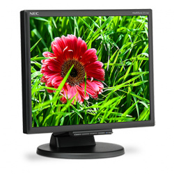 Compra Monitor NEC LED 17", HD, Negro E171M-BK | Cyberpuerta.mx