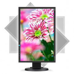 Compra Monitor NEC LED 22", HD, Negro E223W-BK | Cyberpuerta.mx