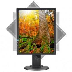 Compra Monitor NEC LED 19", HD, Negro EA193MI-BK | Cyberpuerta.mx