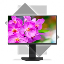 Compra Monitor NEC 24" Full HD 75Hz HDMI/DP EA241F-BK | Cyberpuerta.mx