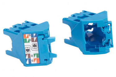 Compra Panduit Jack de Red Ángular Cat6a UTP RJ-45 Hembra, Azul ...