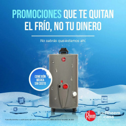 Compra Rheem Calentador de Agua 127V 114 L/h 89VP30/474755 | Cyberpuerta.mx