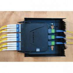 Compra Siemon Caja de Distribución para Fibra Óptica LVW-F4-01 ...