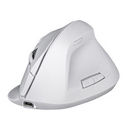 Compra Mouse Ergonómico TechZone NASA , RF Inalámbrico, 1600DPI, NS ...