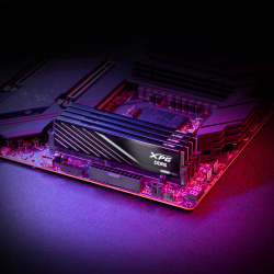 Compra XPG DDR5 5600MHz 32GB 2x16GB CL45 AX5U5600C4616G-DTLABBK ...