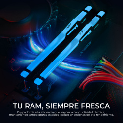 Compra Xtreme PC Gaming DDR5 5600 16GB CL40 XMP | Cyberpuerta.mx
