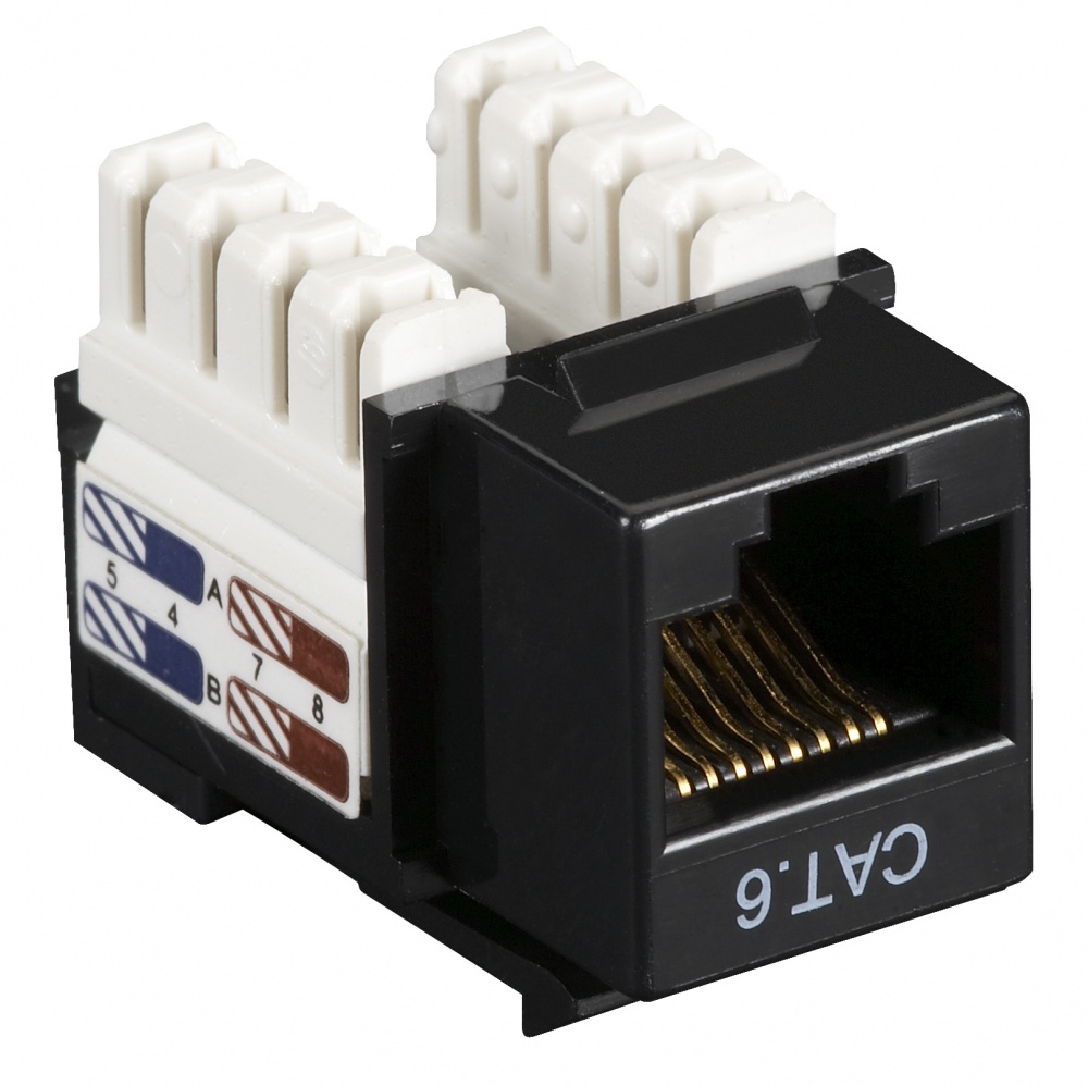 Black Box Jack de Red Cat6 UTP, RJ-45, Negro, 25 Piezas | Cyberpuerta.mx