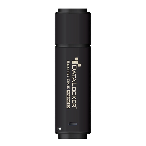 Memoria USB Datalocker Sentry ONE, 8GB, USB A, Negro | Cyberpuerta.mx
