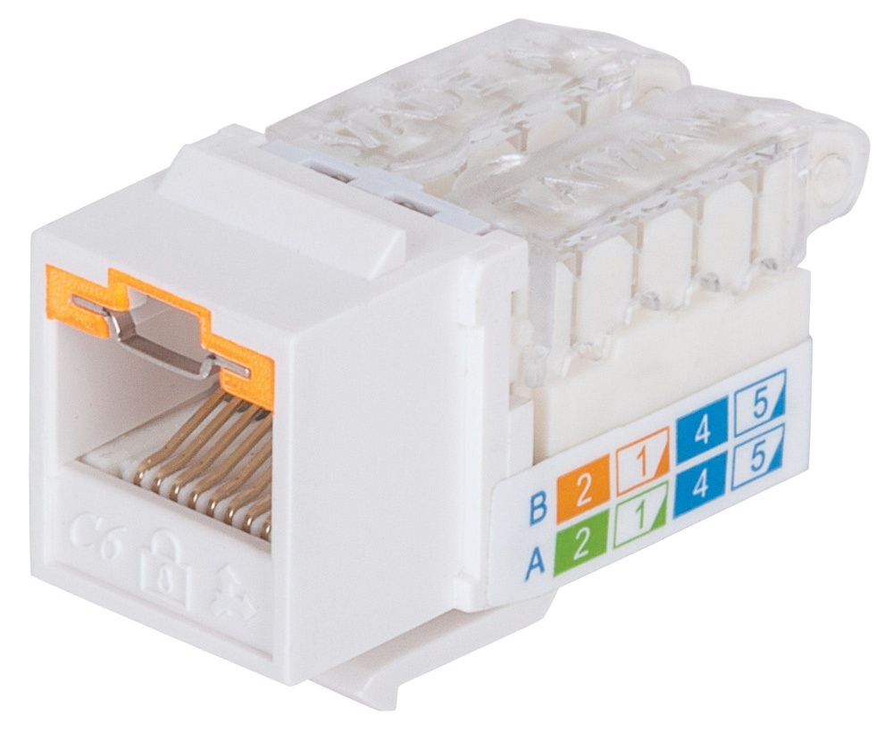 Intellinet Jack de Red Cat6 UTP, RJ-45, Blanco | Cyberpuerta.mx