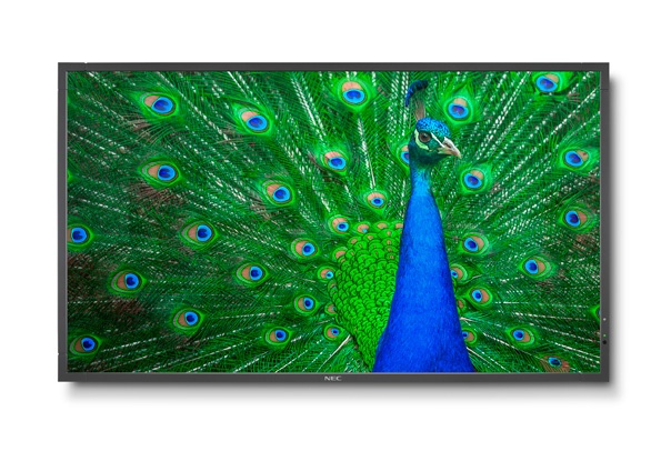 Compra NEC MultiSync C651Q Pantalla Comercial LED 65" Negro, 60004314 ...