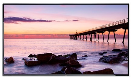 NEC AccuSync E505 Pantalla Comercial LED 50", Full HD, Negro ...