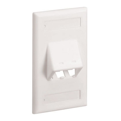 Compra Panduit Placa Vertical Inclinada 2 Puertos Mini-Com Blanco ...
