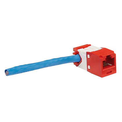 Panduit Jack de Red Angulado Cat6, UTP, RJ-45, Azul | Cyberpuerta.mx