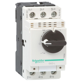 Compra Schneider Electric Interruptor Magnético 3 Polos 690V, 2.5A ...
