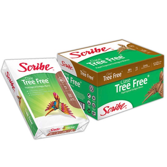 Compra Scribe Papel Ecológico Tree Free 75g/m², 5000 Hojas Carta ...