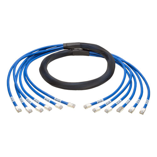 Tripp Lite by Eaton Cable Patch Cat6 UTP 6x RJ-45 Macho - 6x RJ-45 ...