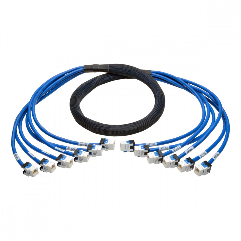 Tripp Lite by Eaton Cable Patch Cat6 6x RJ-45 Macho - 6x RJ-45 Hembra ...