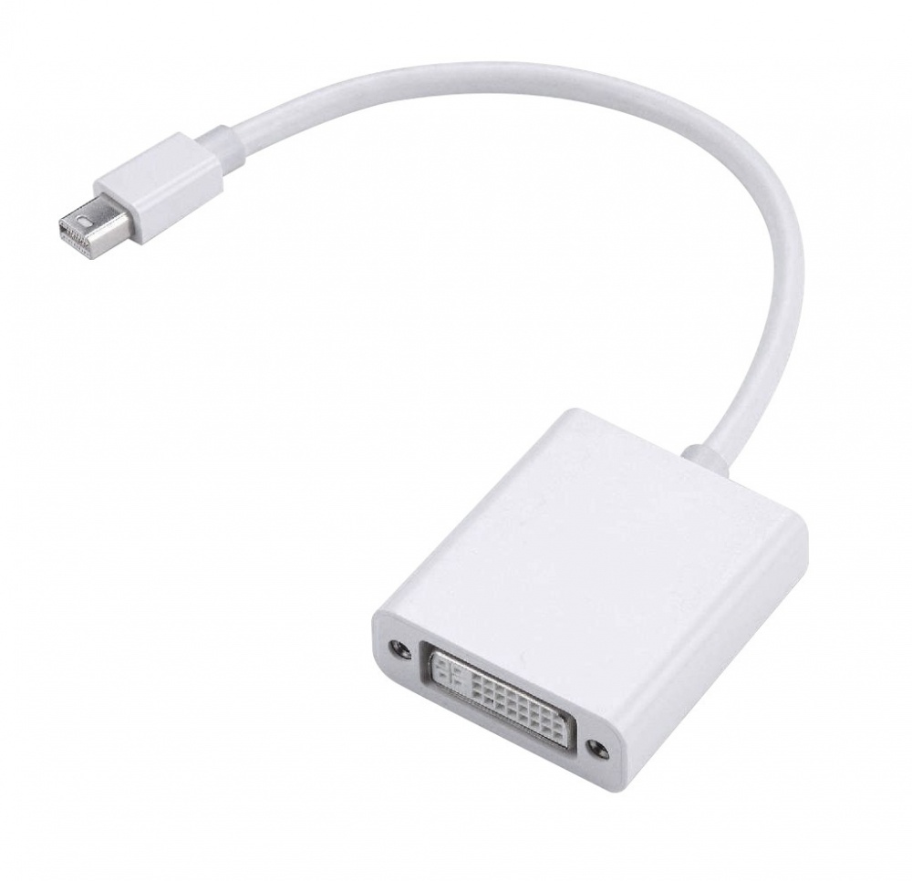 Compra Xtech Adaptador mini DisplayPort Hembra - DVI Hembra, 10cm XTC ...